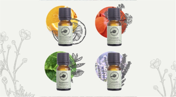 Essential Oils To Flourish