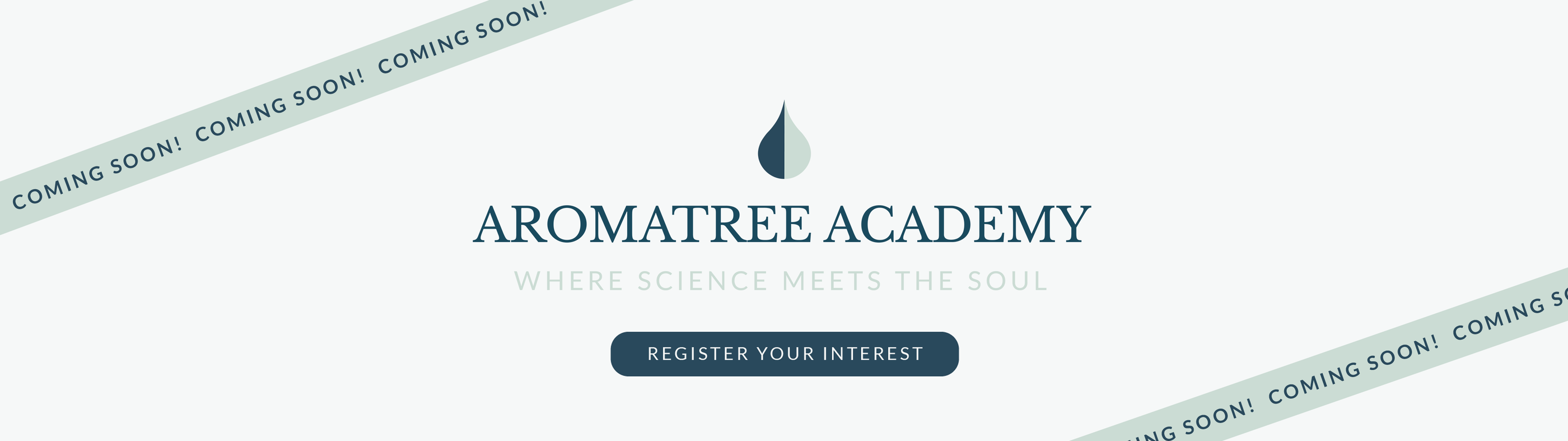 Salvatore Battaglia - Aromatherapy Author & Global Educator